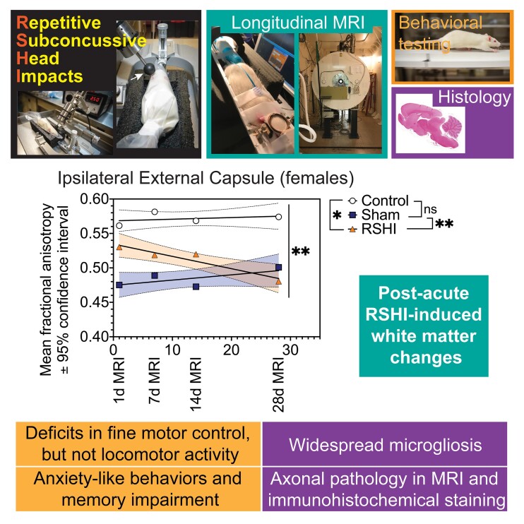 Translational Neuroimaging Lab – Columbia University Irving Medical Center